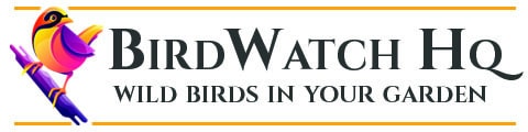 Bird Watch HQ – Wild birds in your garden.